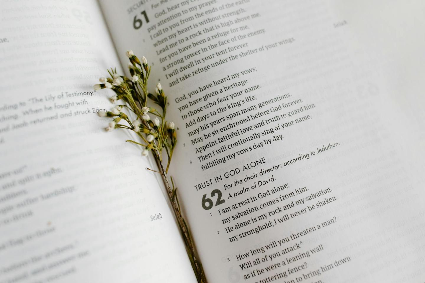 Trust at ALL Costs – Confessions of a P.E.A.C.H.